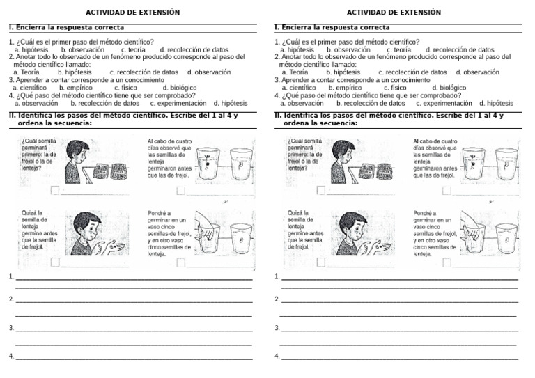Pasos del Método Científico: Actividades | PDF | Método científico ...