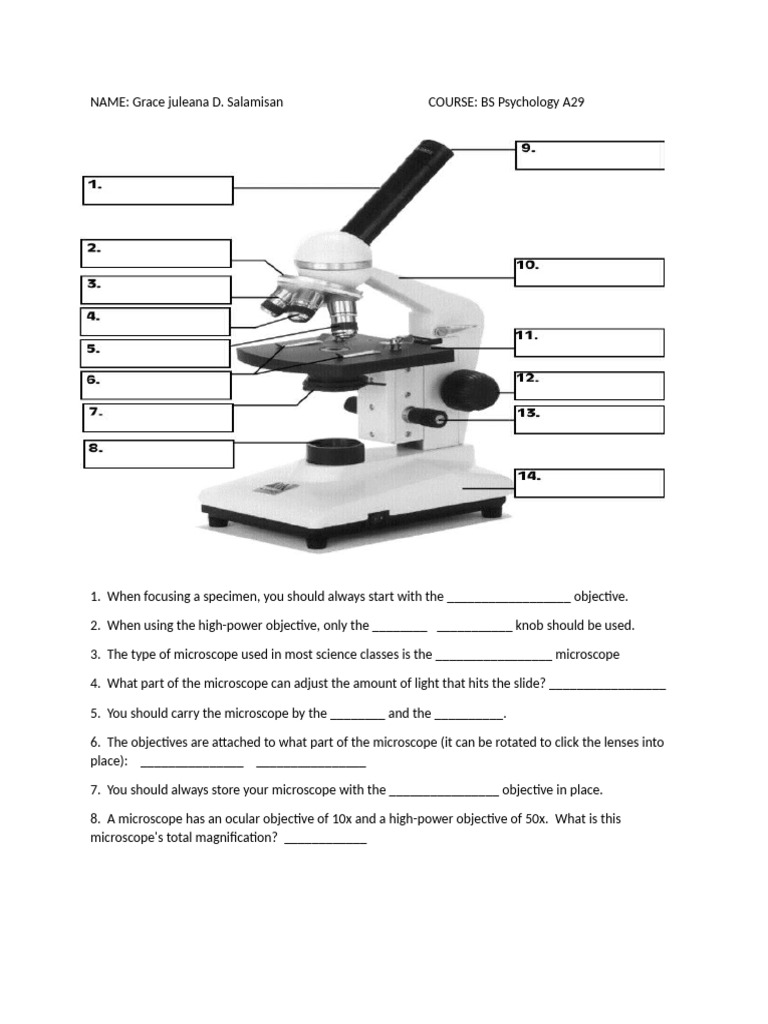 Lab Activity Sheet Microscope | PDF
