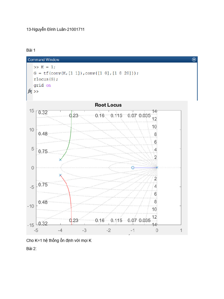 Nguyen Dinh Luan | PDF