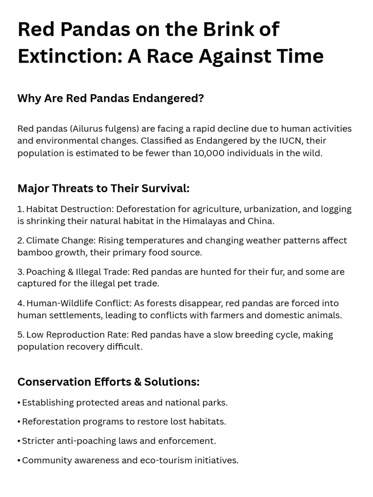 Red Pandas.pdf | PDF