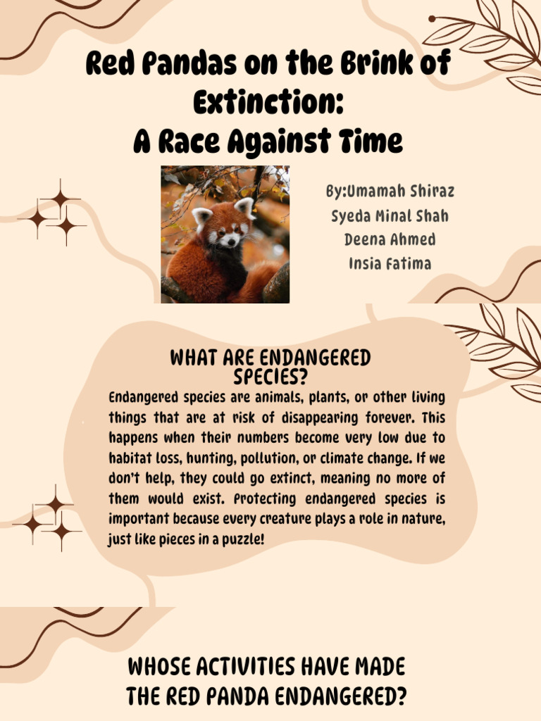 Red Pandas On The Brink of Extinction A Race Against Time PDF | PDF ...