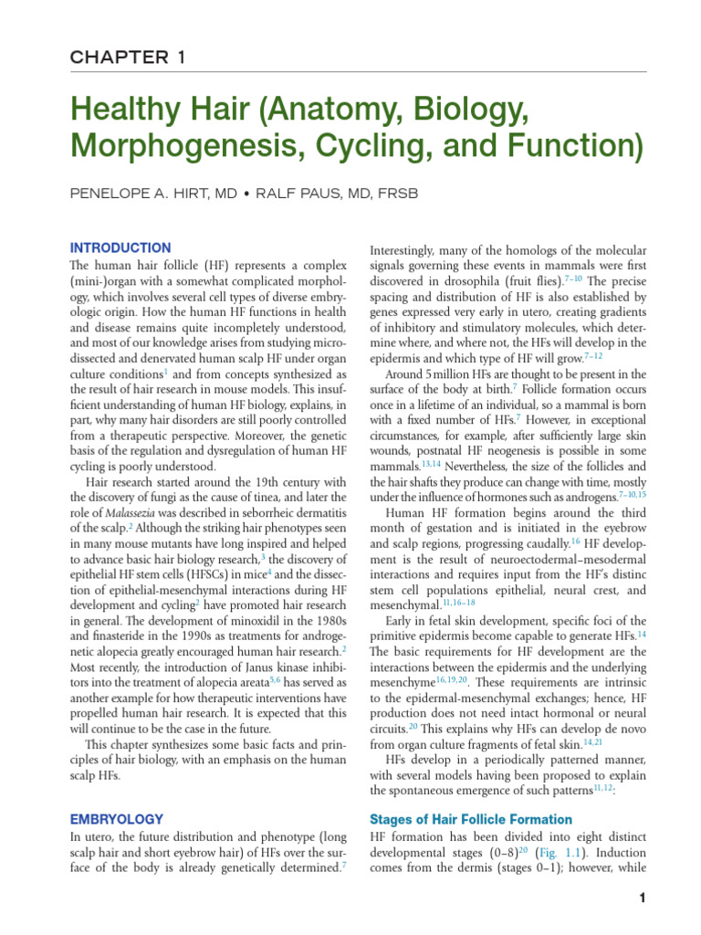 Human Hair Follicle Development Overview | PDF | Epidermis | Skin