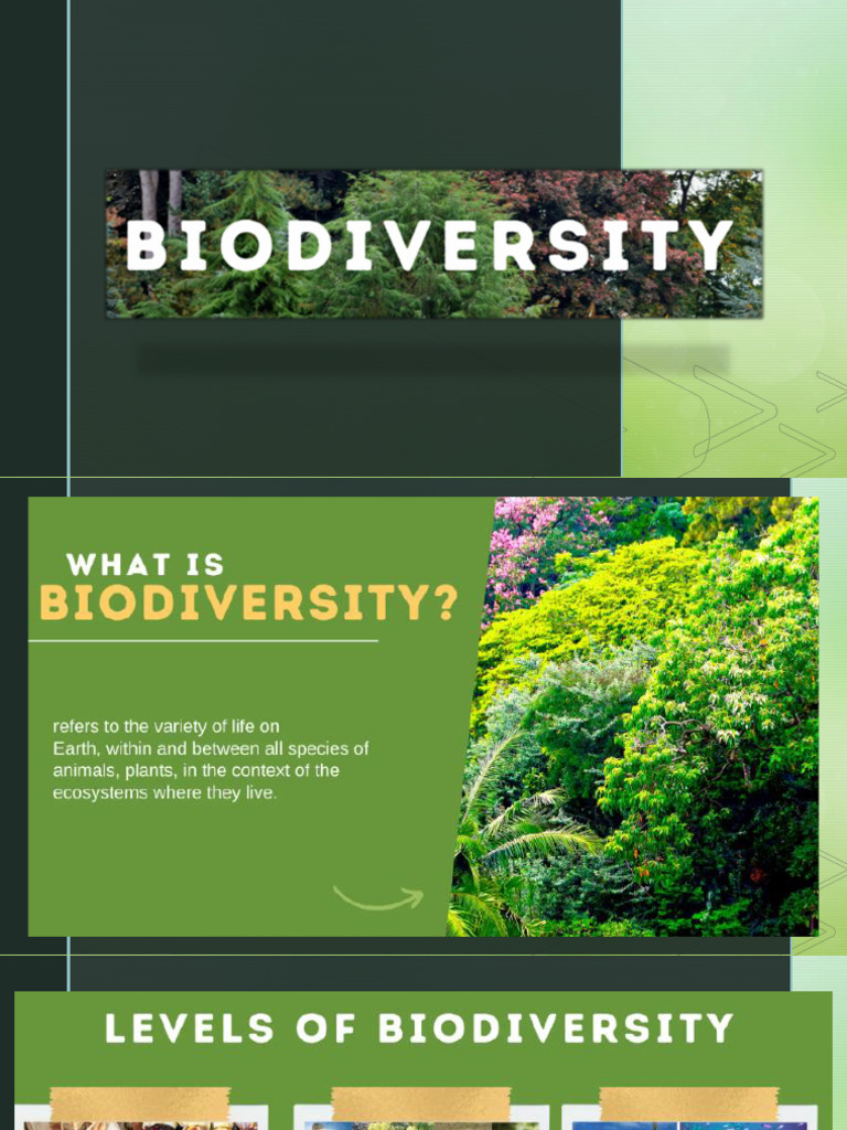 Biodiversity | PDF