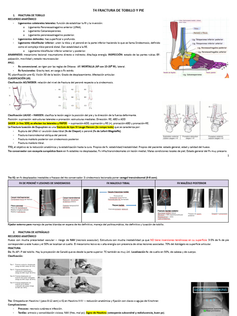 t4 FX de Tobillo y Pie | PDF | Tobillo | Sistema musculoesquelético