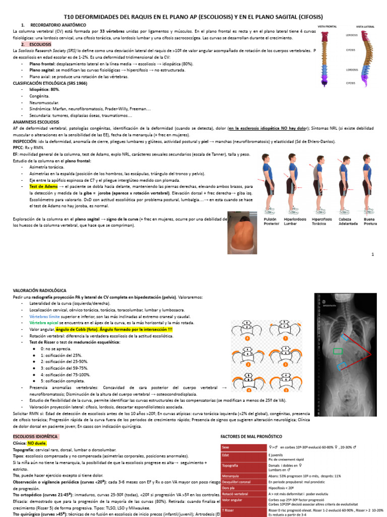 t10 Deformidades Del Raquis | PDF | Escoliosis | La columna vertebral