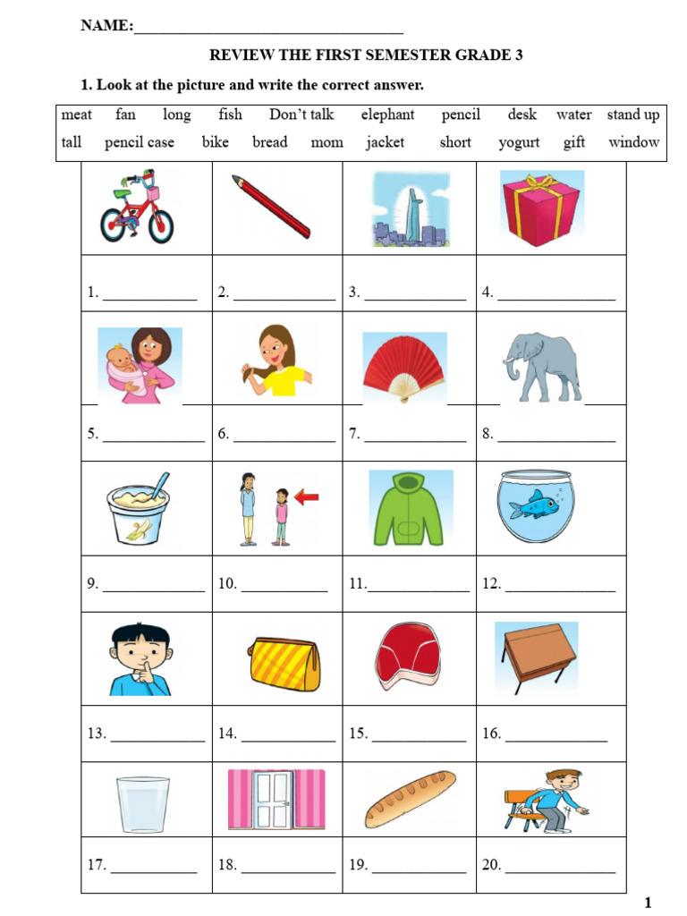 Grade 3 First Semester Review Worksheet | PDF