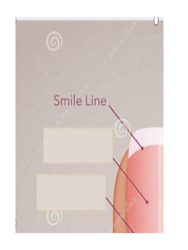 Tarp Nail Anatomy | PDF