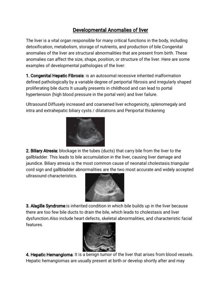 liver patho(1)1 | PDF