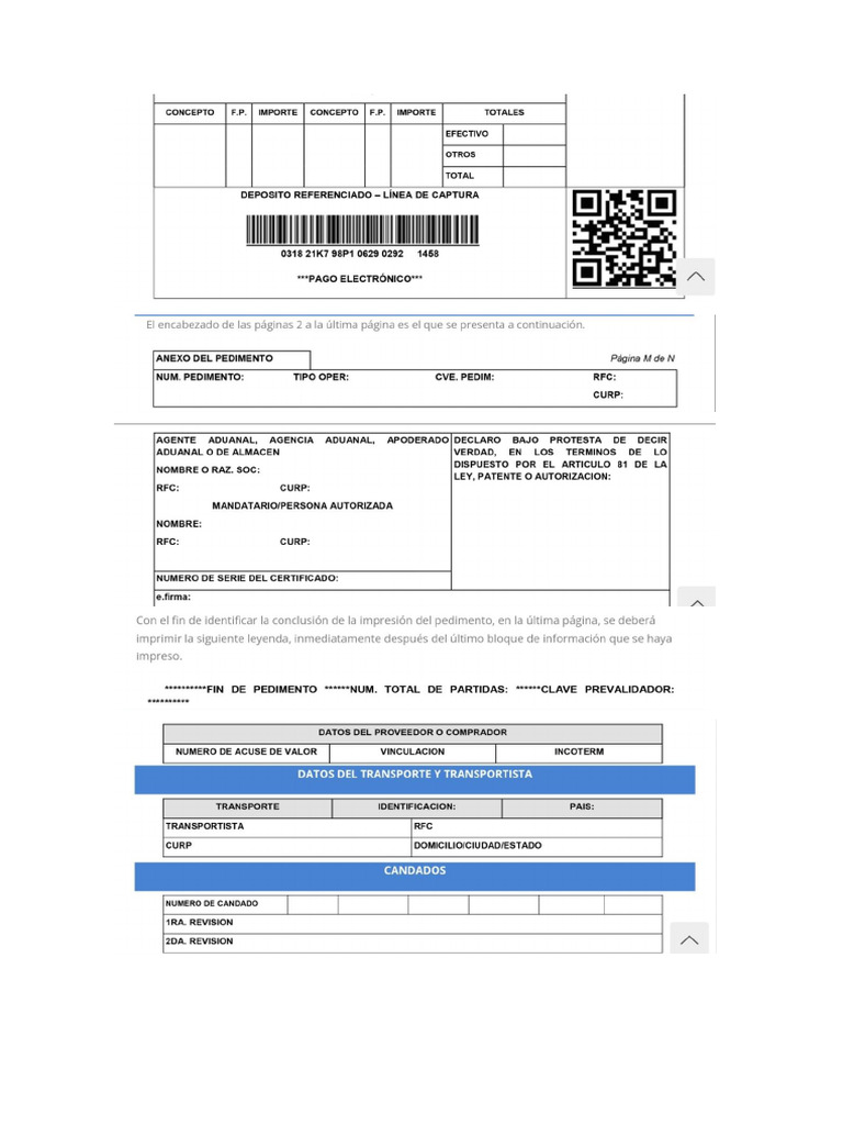 Pedimento Anexo | PDF