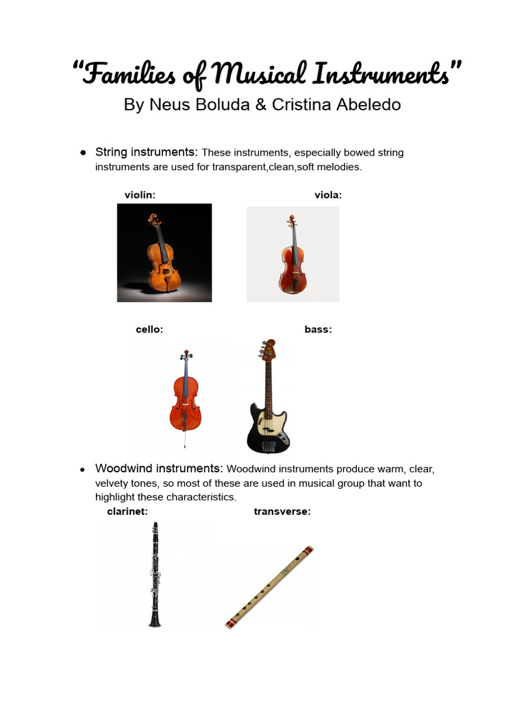 Families of Musical Instruments | PDF