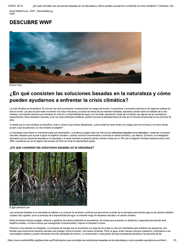 ¿En Qué Consisten Las Soluciones Basadas en La Naturaleza y Cómo Pueden Ayudarnos A Enfrentar La ...