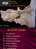 Anatomie et Fractures du Rocher | PDF | Tête et cou chez l'humain ...