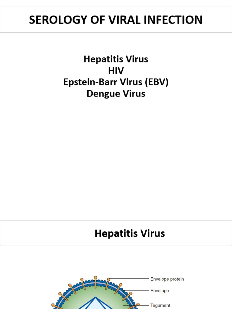 Serology of Viral Infection | PDF | Hepatitis B | Hepatitis