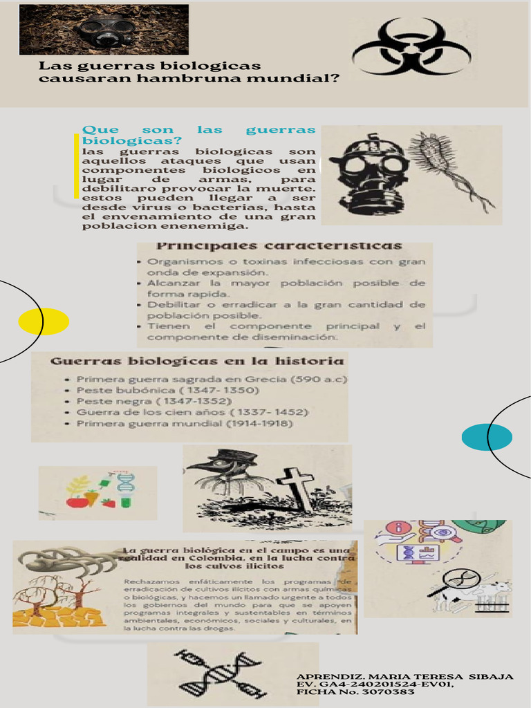 INFOGRAFIA COMUNICACION DE LA INTERPRETACION DEL ENTORNO GA4-240201524-AA3-EV01 | PDF