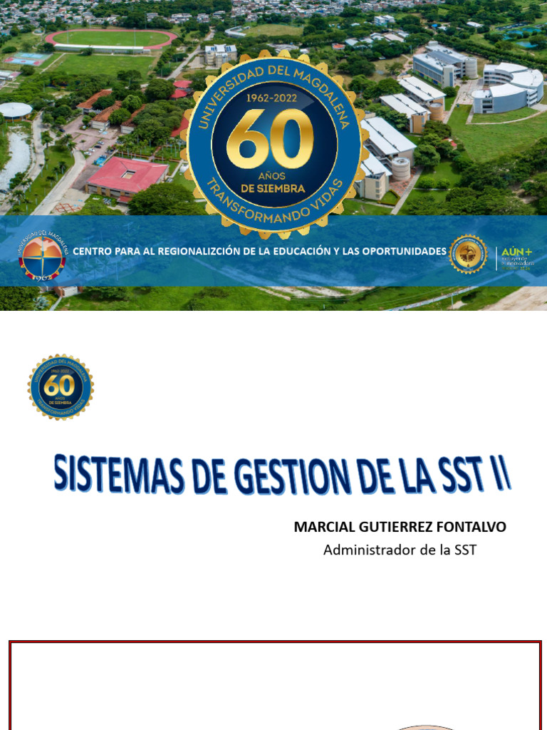 Estandares Minimos Del SGSST Resolución 0312 de 2019 | PDF | Derecho laboral | Higiene Ocupacional