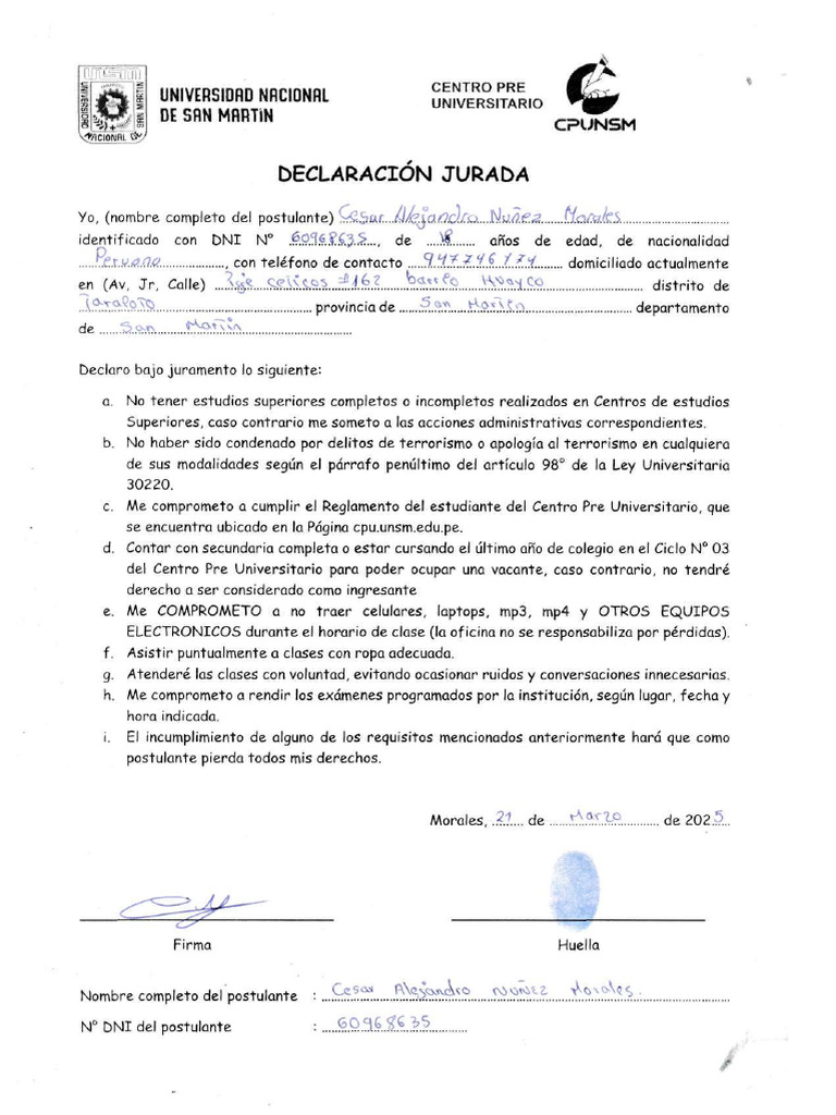 DECLARACION | PDF