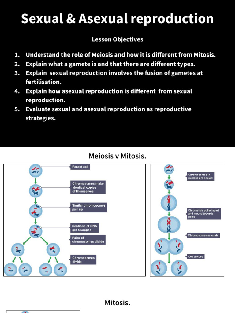 Sexual vs Asexual Reproduction Explained | PDF | Sexual Reproduction ...