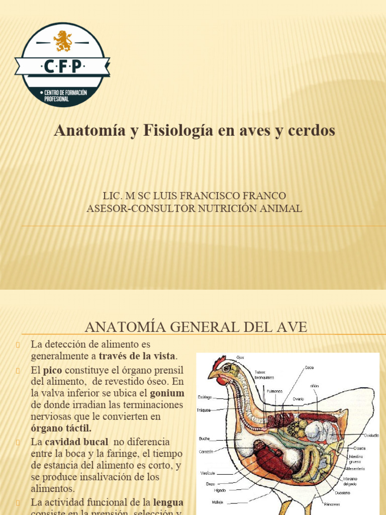 Anatomía y Fisiología en Aves y Cerdos | PDF | Digestión | Sistema digestivo humano
