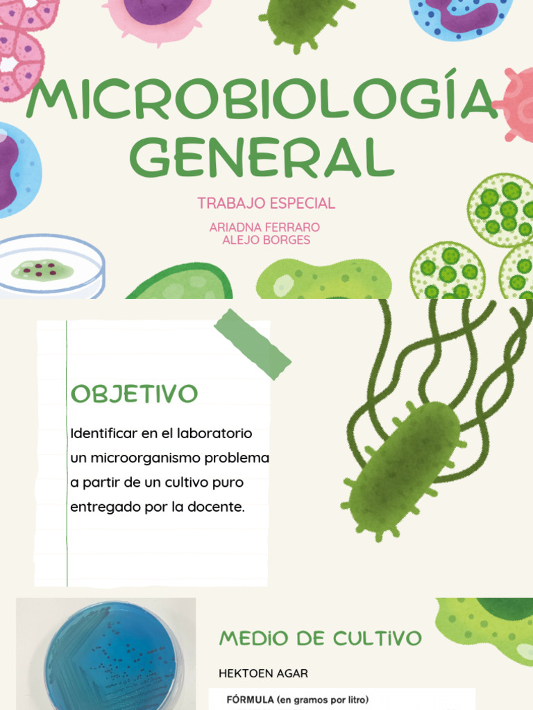 Identificación de Citrobacter freundii en Laboratorio | PDF | Enzima ...