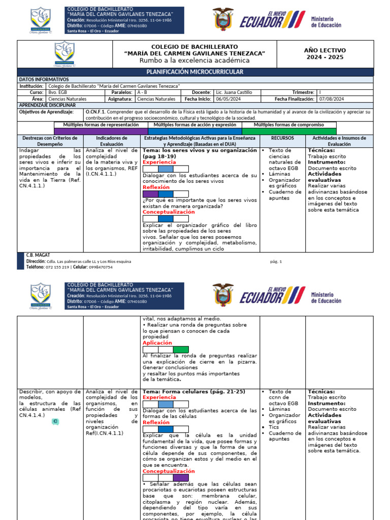 Planif Micro CCNN 8vo 1er Trim Con Proyecto 2024-2025 | PDF | Membrana biológica | Nucleo celular