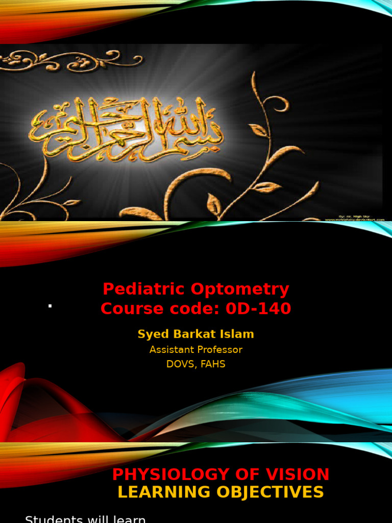 Development of Vision | PDF | Visual System | Retina