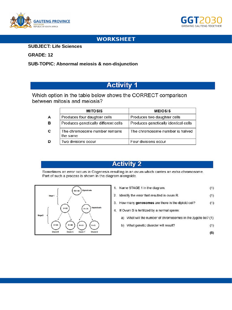 Meiosis Part 2 Worksheet | PDF
