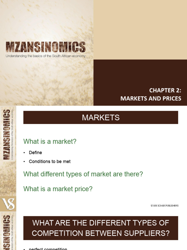 Mzansinomics PP Templates C2 Demand | PDF