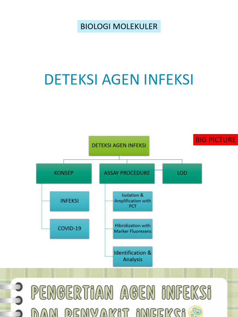 Deteksi Agen Infeksi (Kompilasi) | PDF