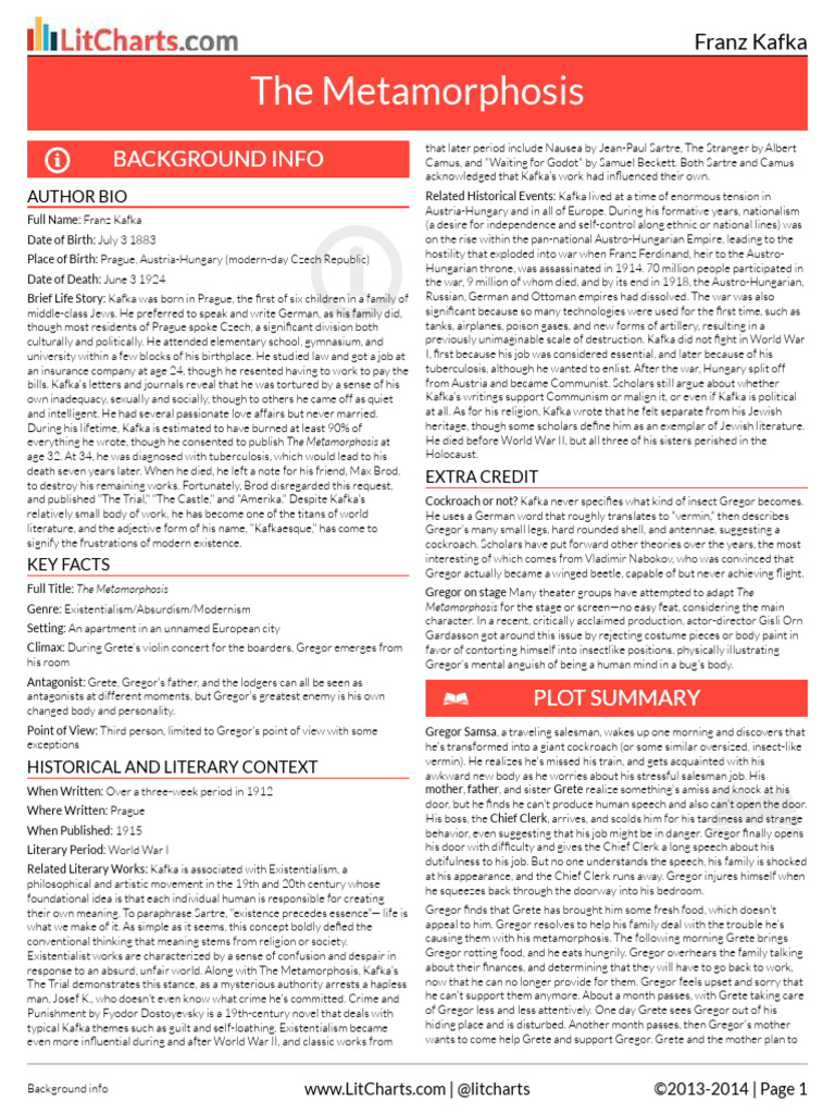 Themetamorphosis Lit Chart | PDF | The Metamorphosis | Franz Kafka