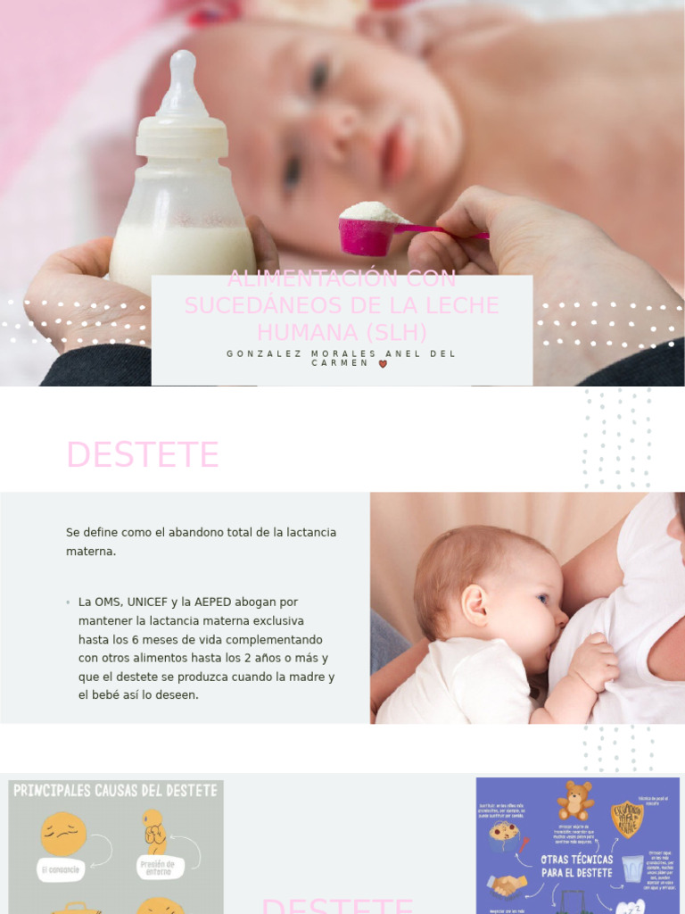 ALIMENTACIoN CON SUCEDANEOS DE LA LECHE HUMANA SLH | PDF | Amamantamiento | Leche