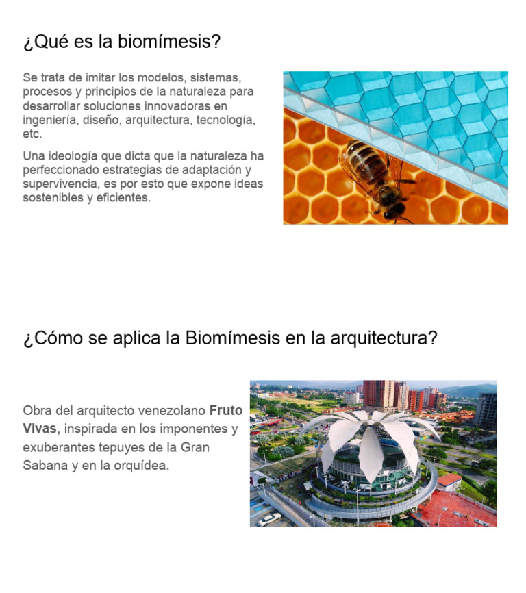 Biomímesis_Geraldine | PDF