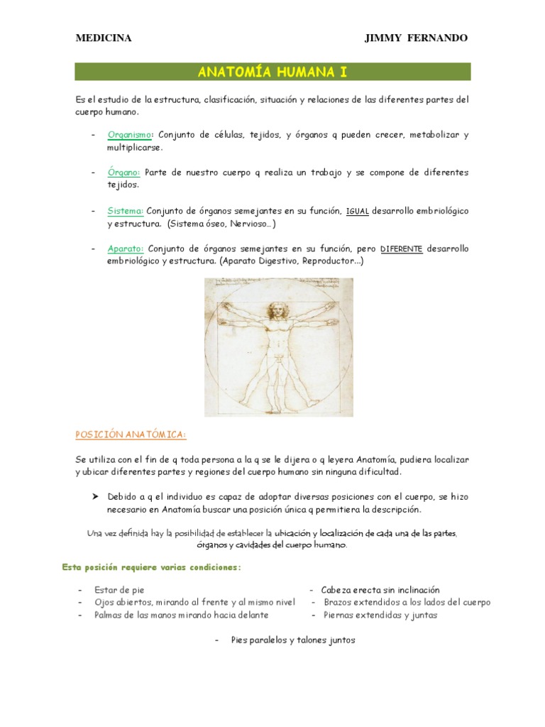 Basicos de Anatomia | PDF | Términos anatómicos de ubicación | Pelvis