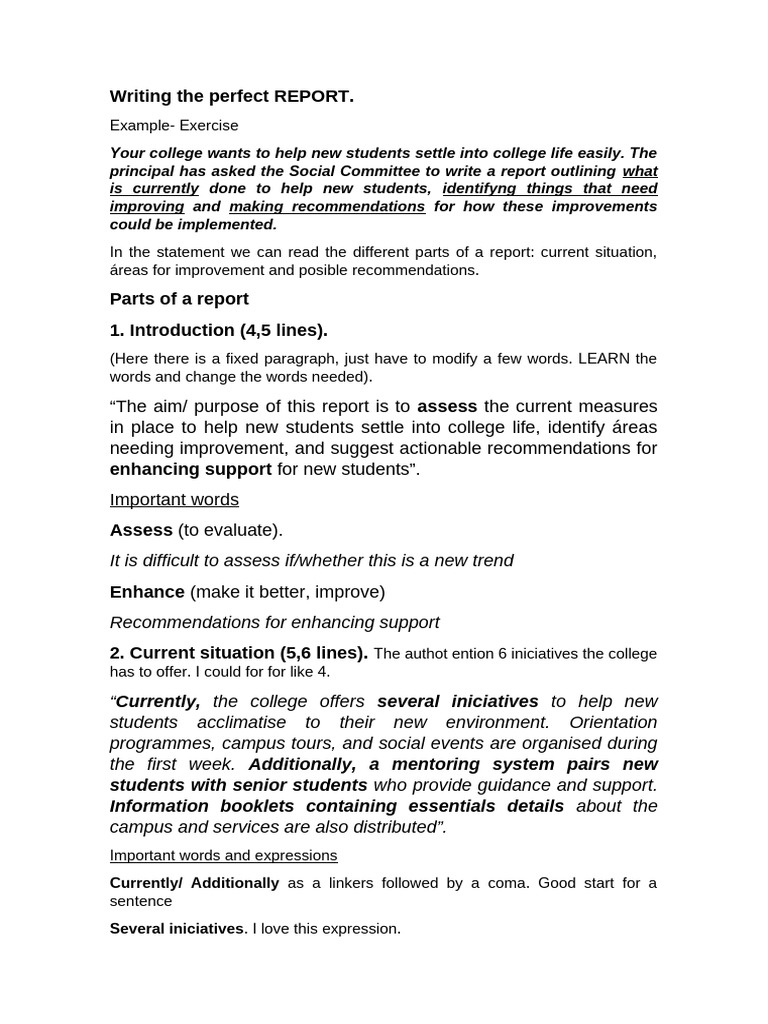 Crafting a Mentorship Report | PDF | Mentorship
