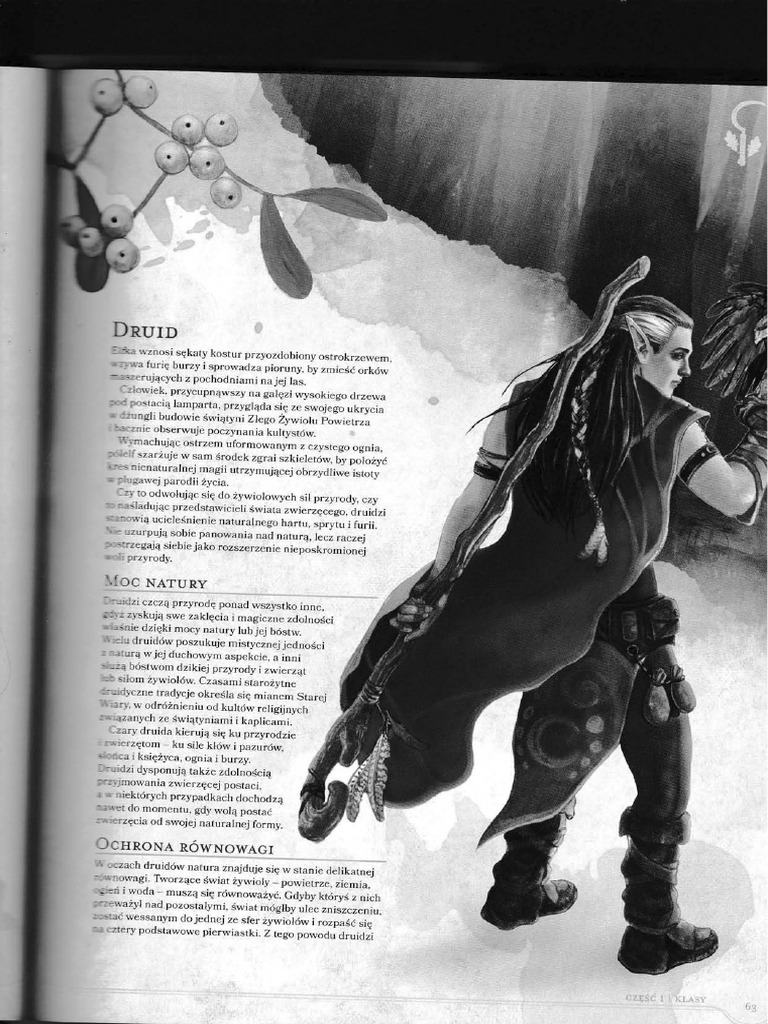 Klasa Postaci - Druid | PDF