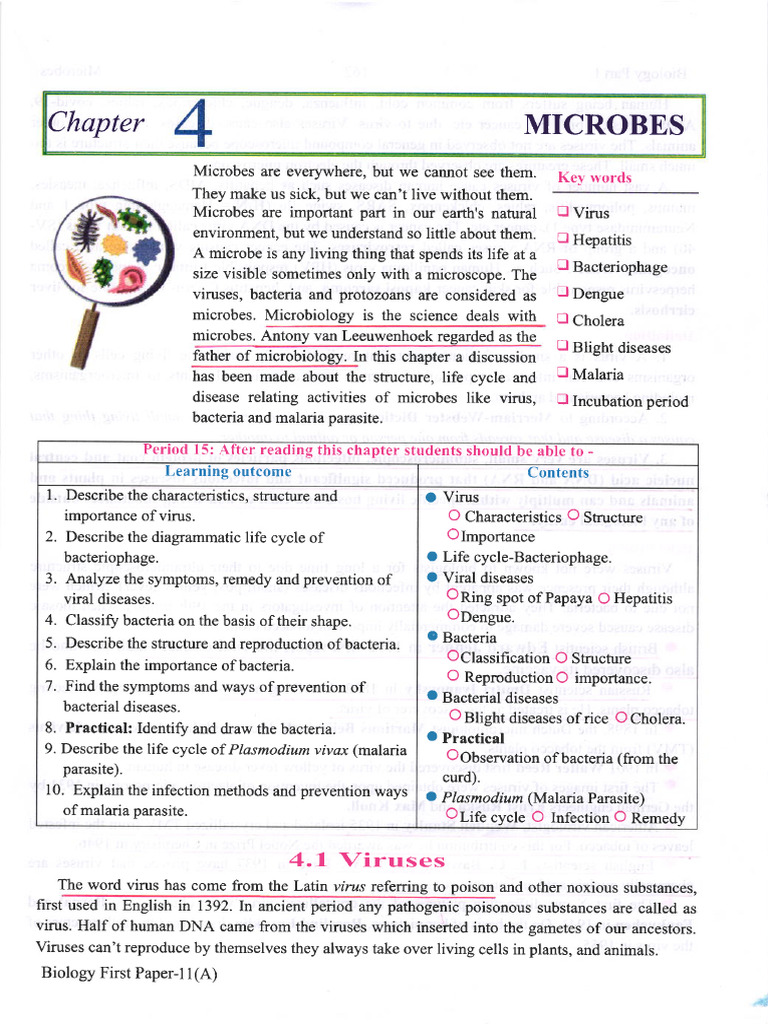 B-02; Marked_Book RETINA | PDF