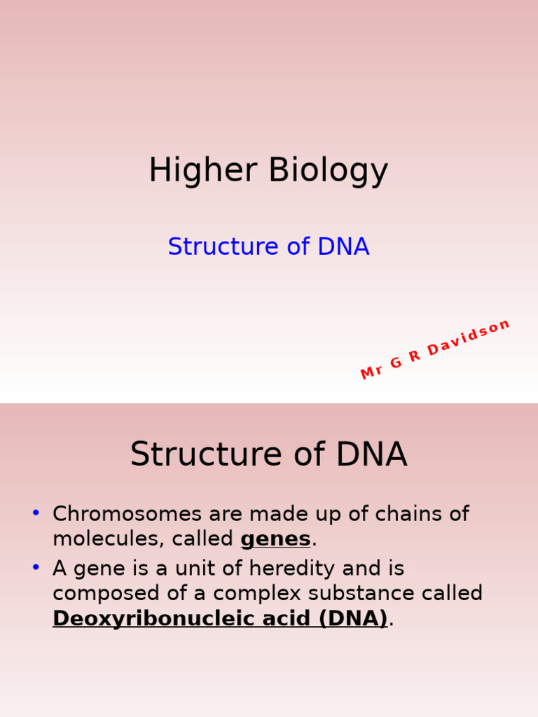 Higher Biology Cfe Structure of DNA | PDF | Dna | Nucleotides