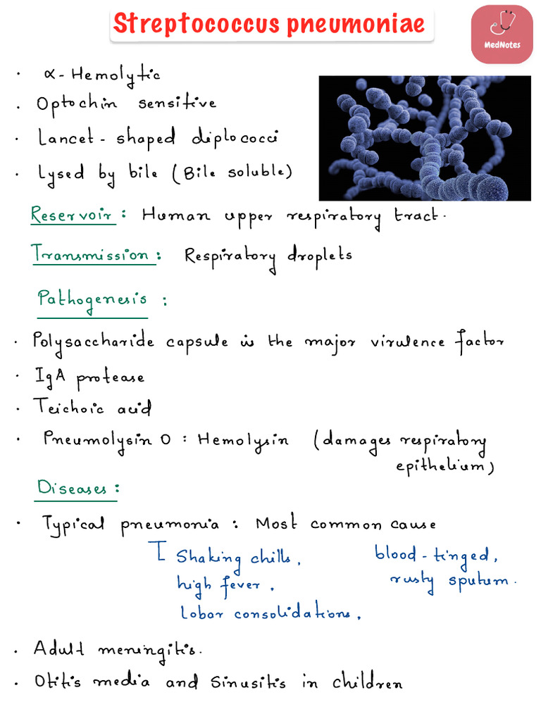 Streptococcus Pneumoniae | PDF | Pneumonia | Human Diseases And Disorders