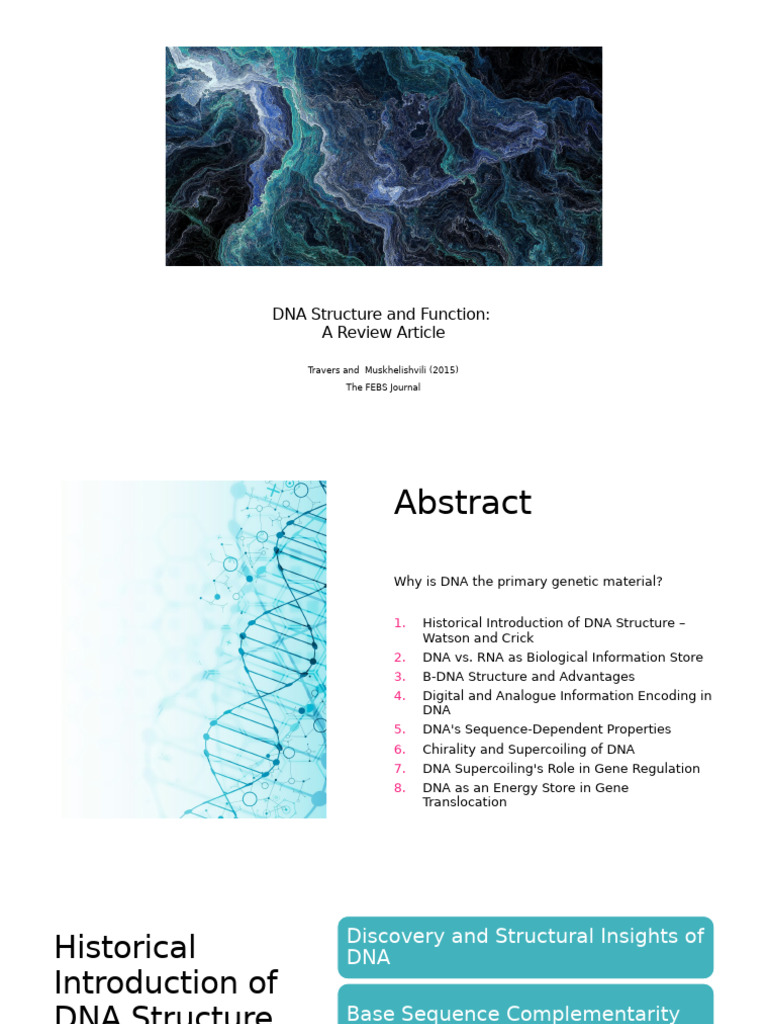 DNA Structure and Function Overview | PDF | Dna | Nucleic Acid Double Helix