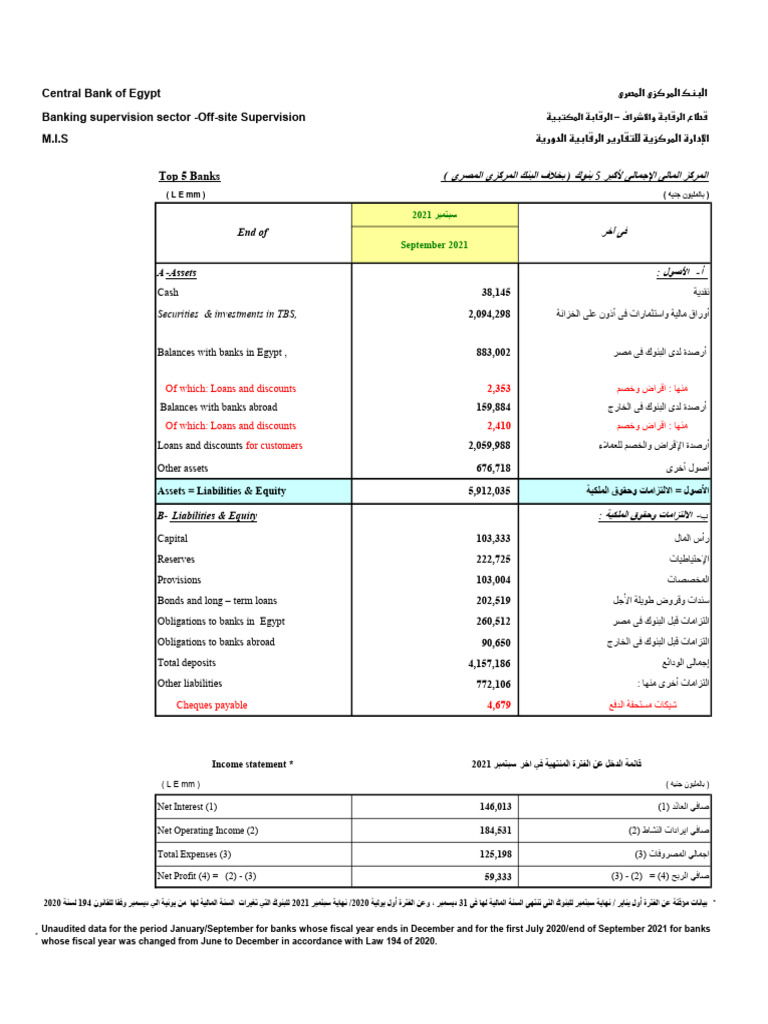 Balance Sheet and Income St. - Top 5 | PDF