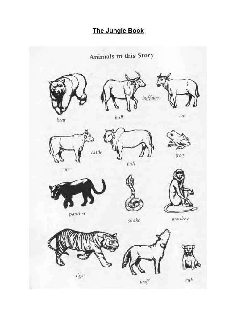 B1 - The Jungle Book | PDF