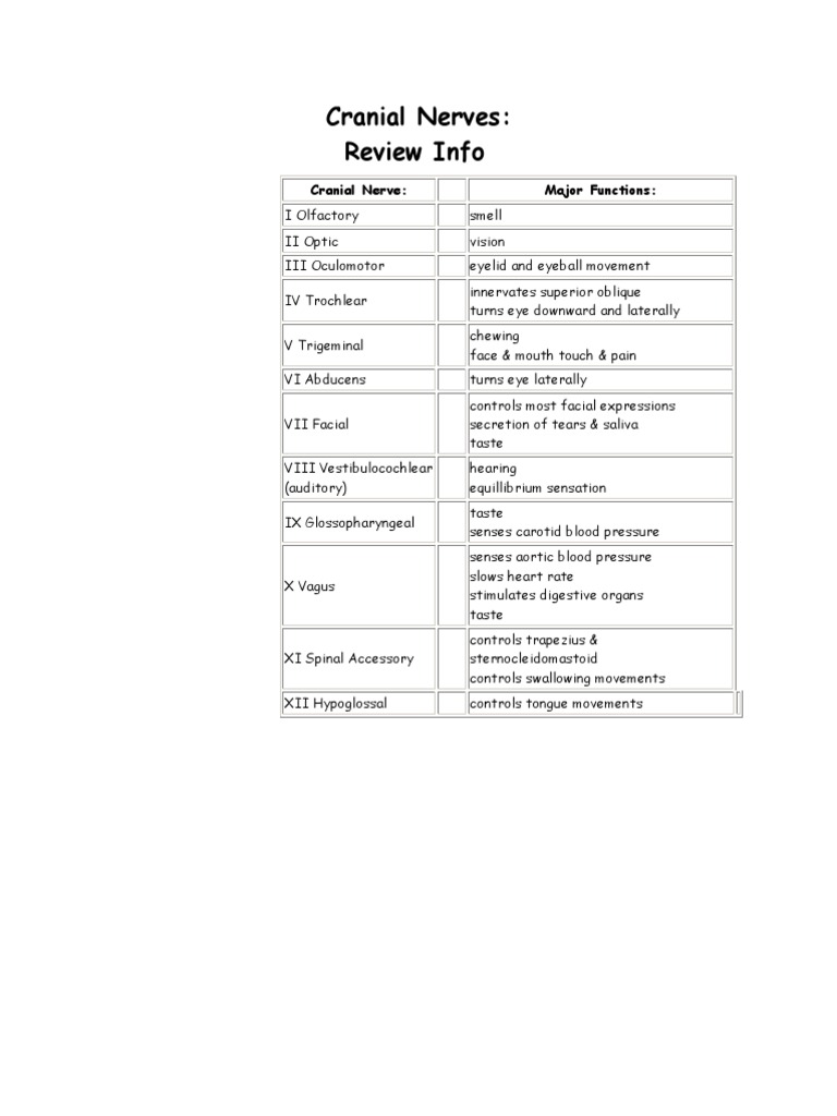 Cranial Nerve | PDF | Neurobiology | Anatomy
