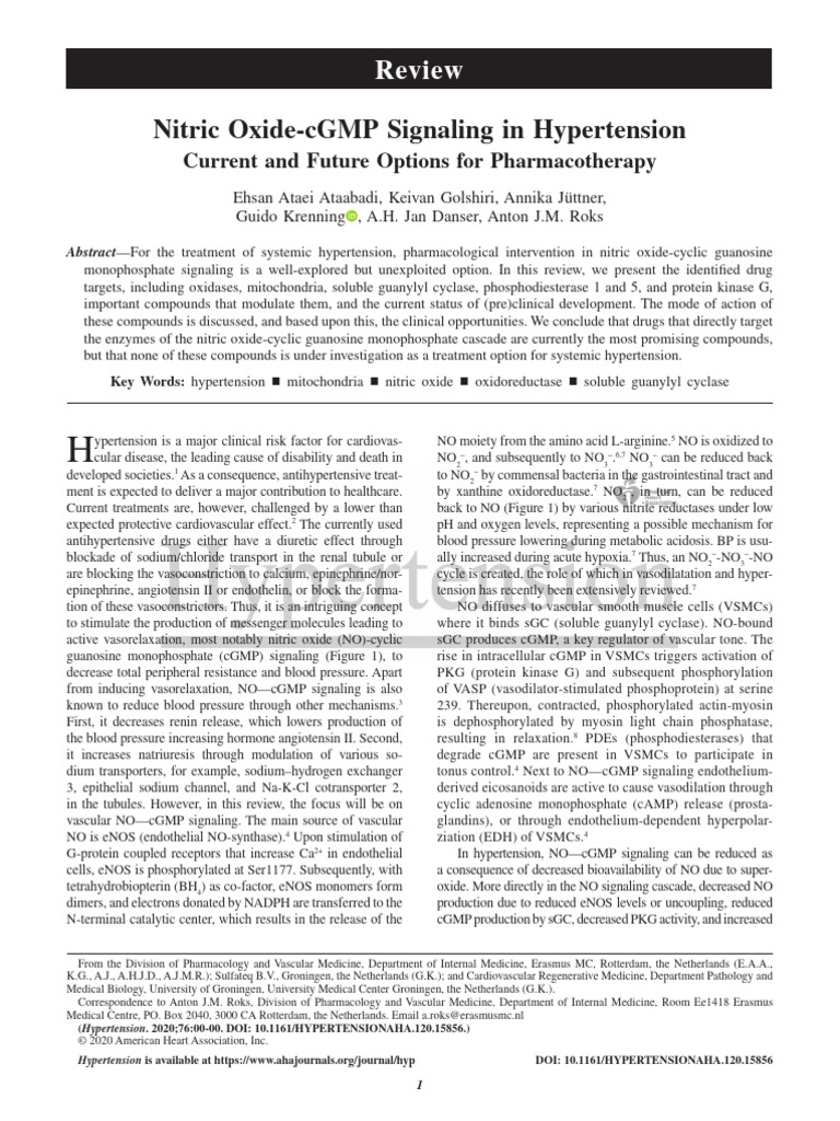 Nitric Oxide-cGMP Signaling in Hypertension | PDF | Vasodilation | Reactive Oxygen Species