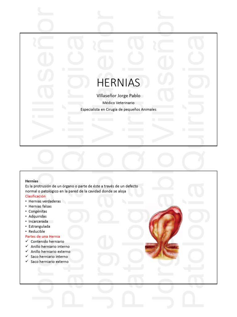 Hernias | PDF | Patología | Cirugía