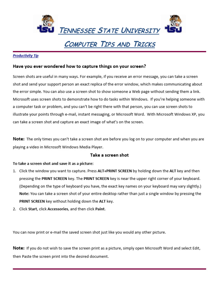 Take A Screen Shot | PDF