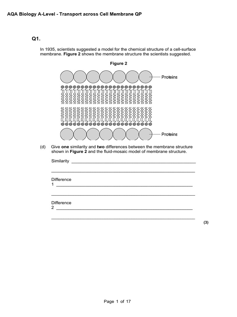 Cell Membrane Transport Mechanisms Explained | PDF | Cell Membrane ...