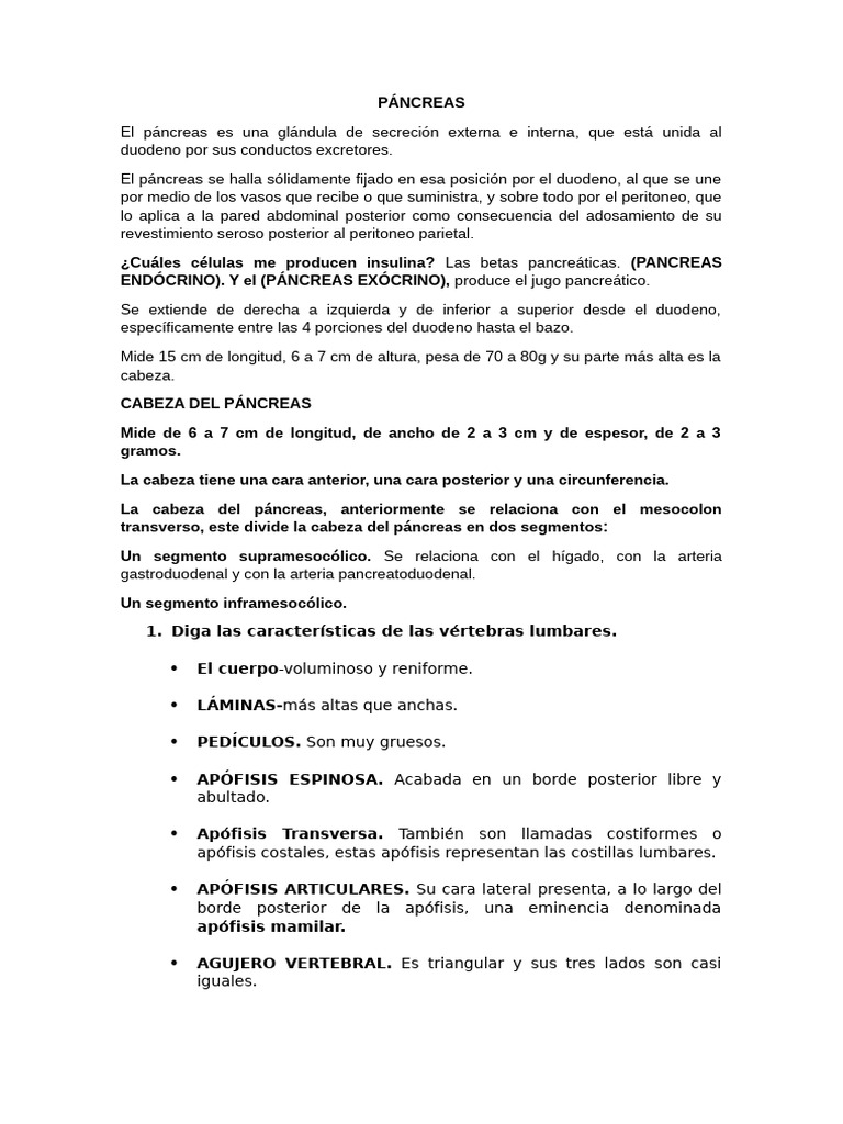 REPASO PRIMER PARCIAL, ANATO II LAB | PDF | Estómago | Abdomen