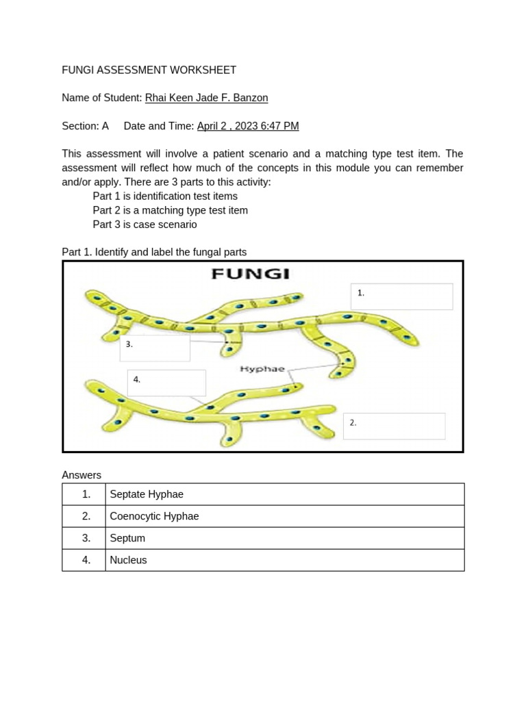Template - Unit 2.2. Fungi Assessment Worksheet | PDF | Candidiasis ...