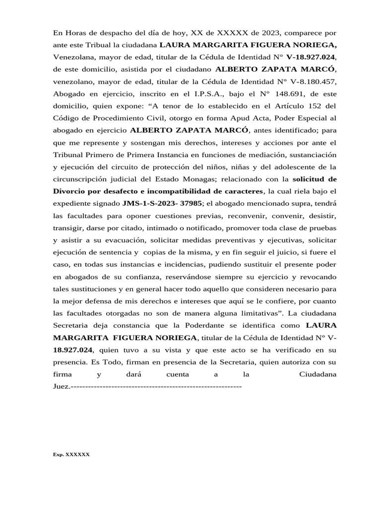 Poder Apud-Acta Laura Figuera | PDF