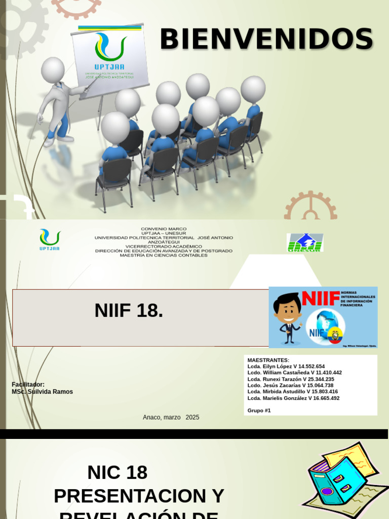 Niif 18 Presentacion y Revelacion de Los Estados Financieros | PDF ...