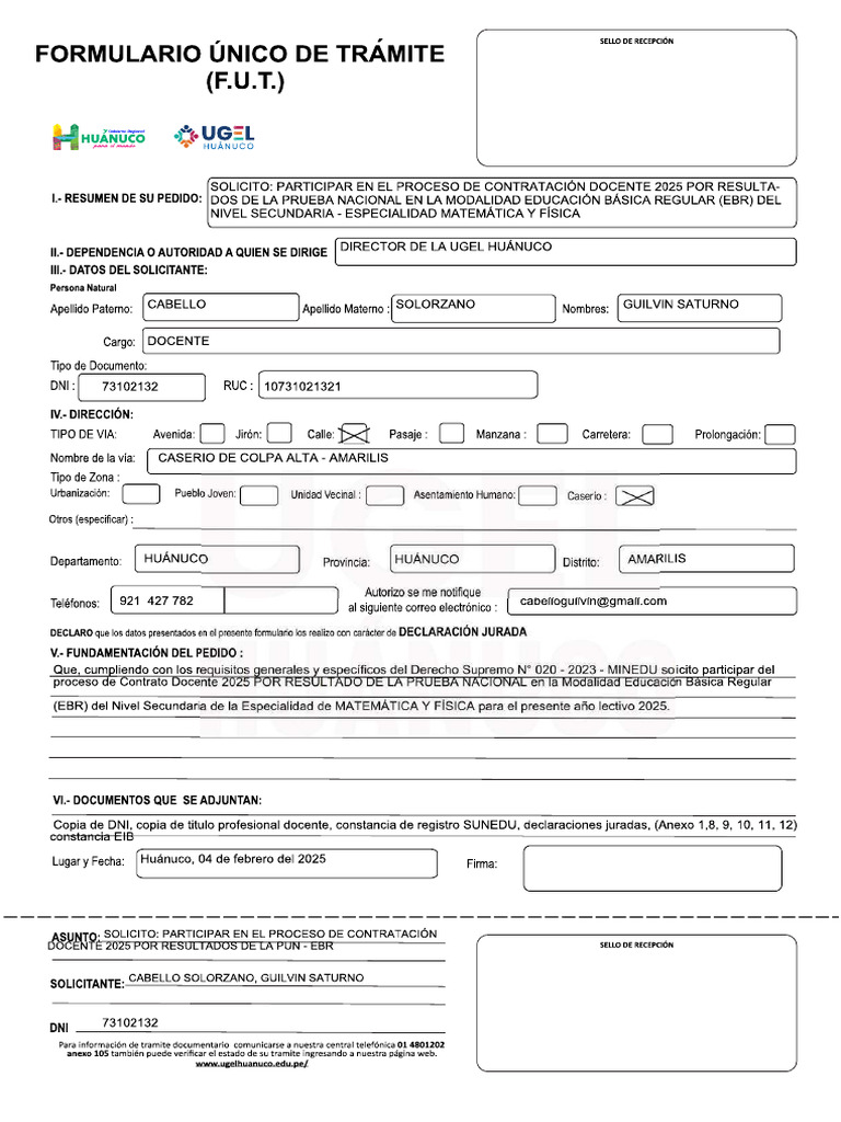 Ugel Huánuco - Modelo de Fut | PDF